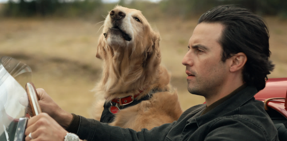 32 Of The Saddest Movies Of All Time