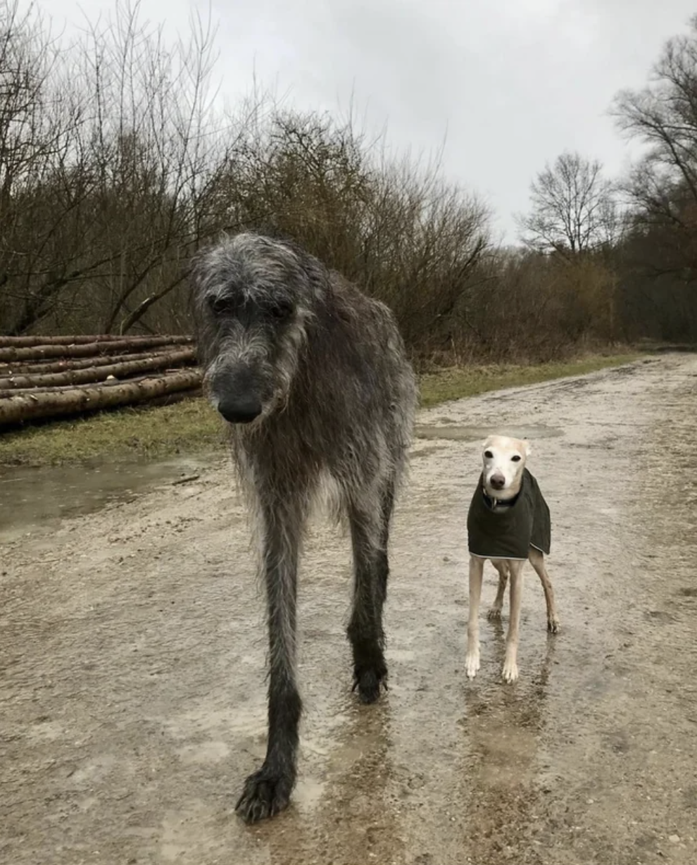 28 Strange & Disturbing Photos That Are Hard To Explain