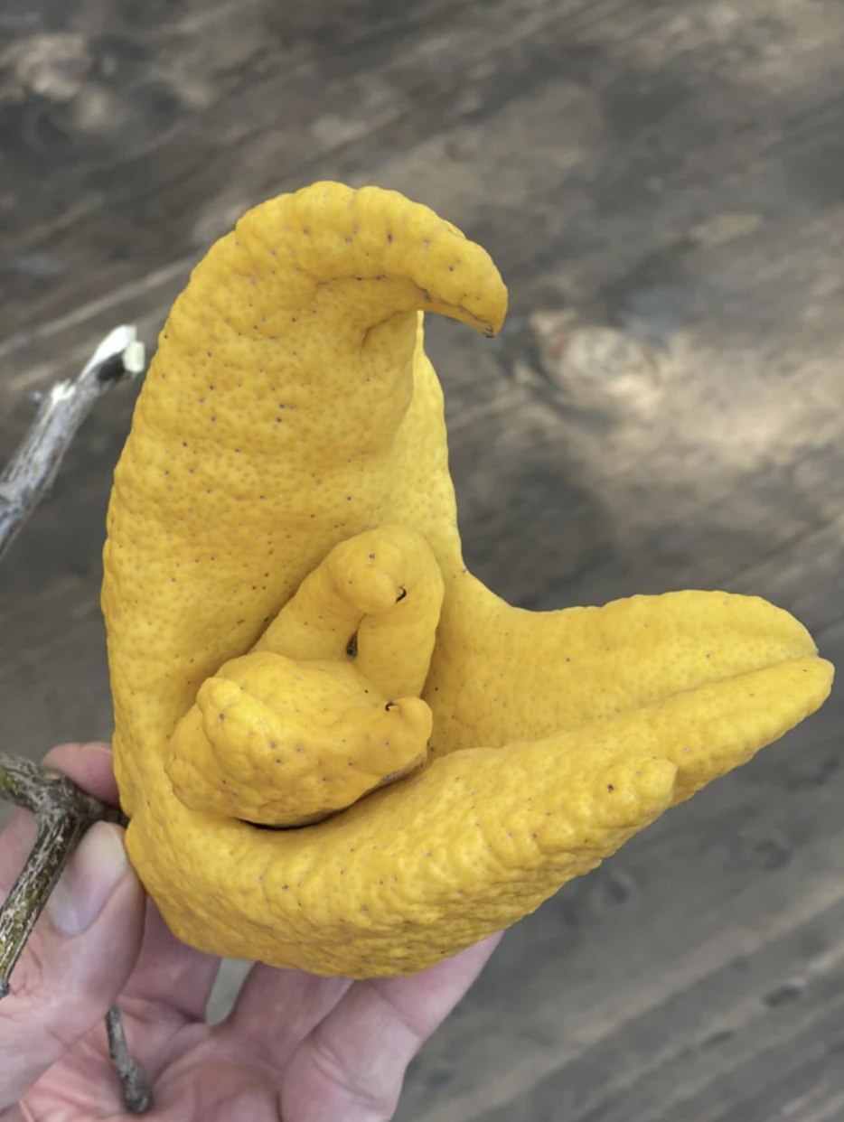 28 Strange & Disturbing Photos That Are Hard To Explain