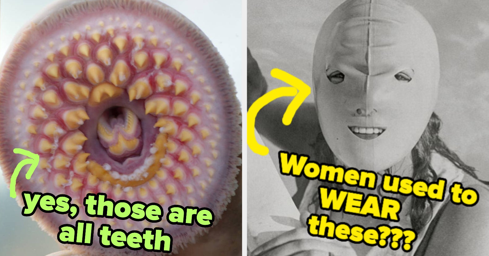21 Freaky Things You've Never Seen