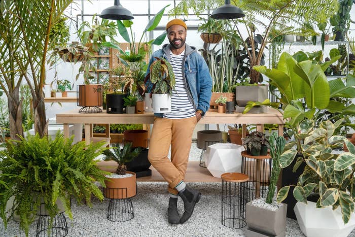 If You Love Plants, You Have To Check Out The Flourishing Hilton Carter ...