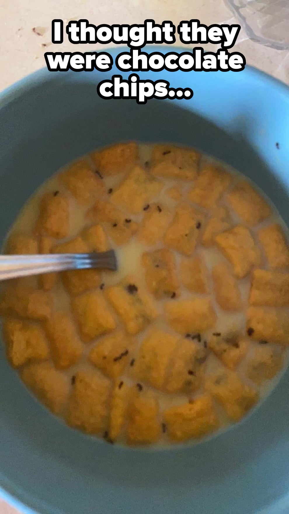 19 Poor, Miserable Souls Who Definitely Regret Literally Every Single ...