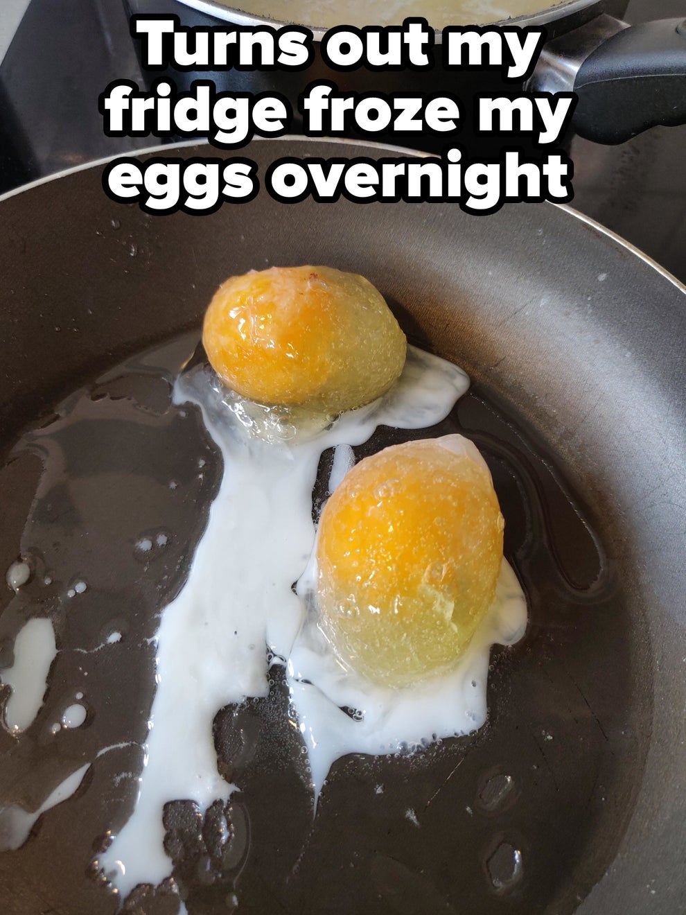 19 Poor, Miserable Souls Who Definitely Regret Literally Every Single ...