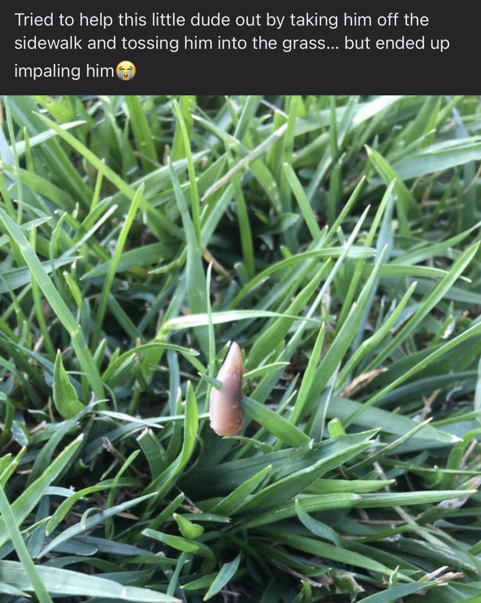 19 Poor, Miserable Souls Who Definitely Regret Literally Every Single ...