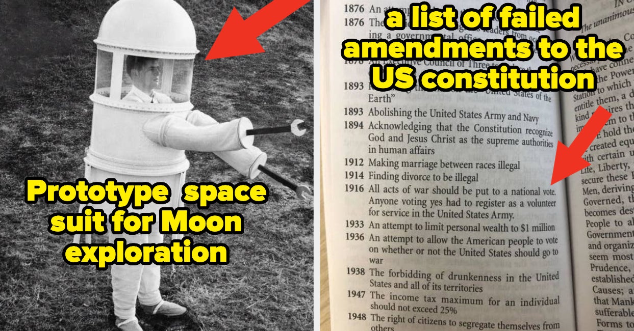 My Literal Acorn-Sized Brain Is Completely Blown After Seeing These 21 ...