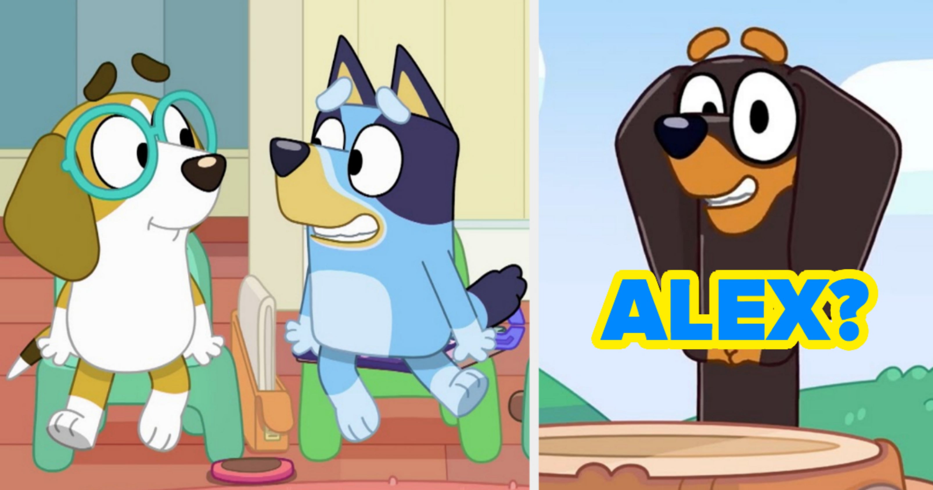 Bluey Quiz: Make A New "Bluey" Character