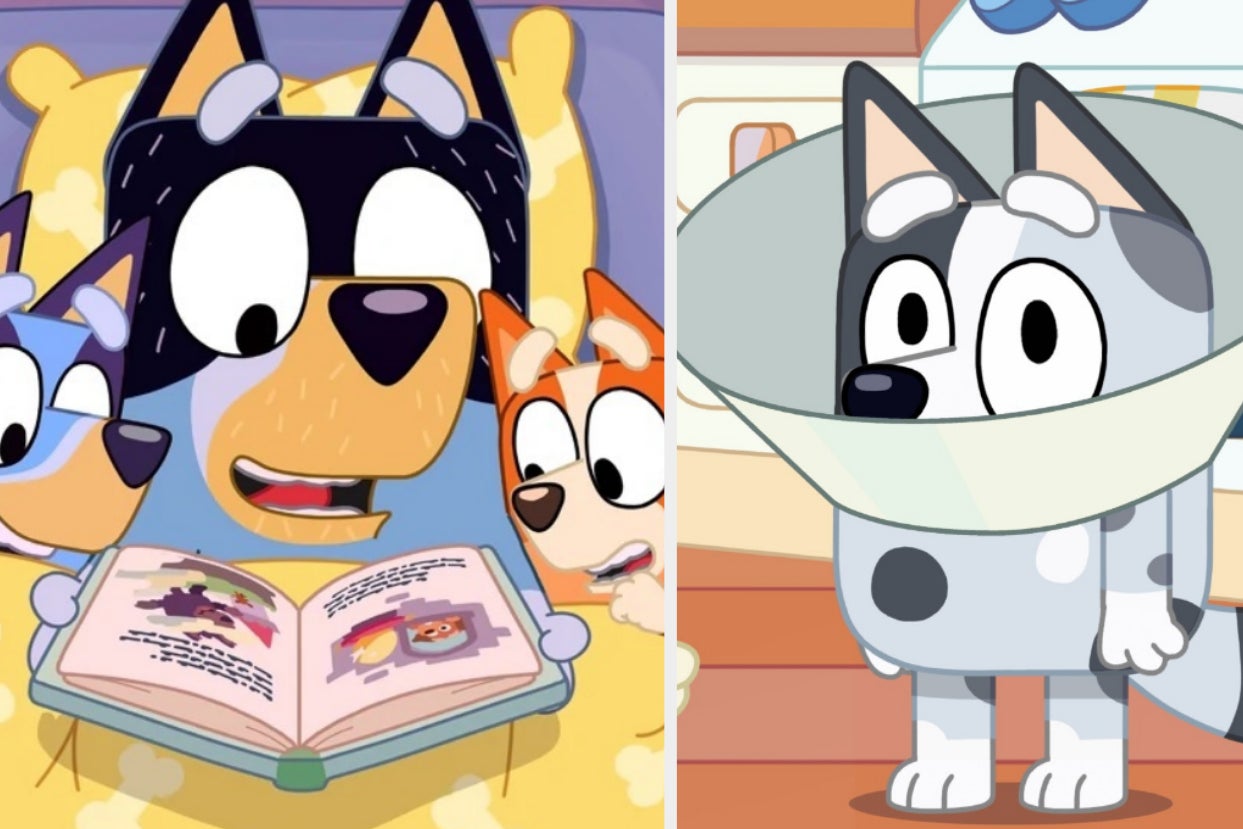 Let's Find Out Which "Bluey" Family Member You Are At Heart - Smart Tech