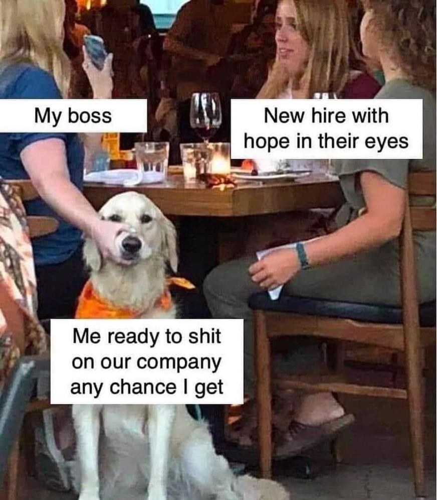 90 Funny Work Memes That Are Also Way, Way Too Real