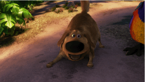 Dug Squirrel Gif