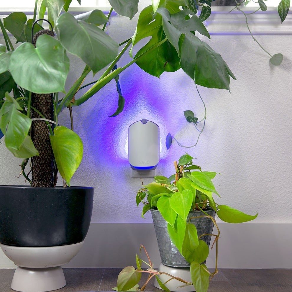 30 Top-Rated Walmart Products You Should Try