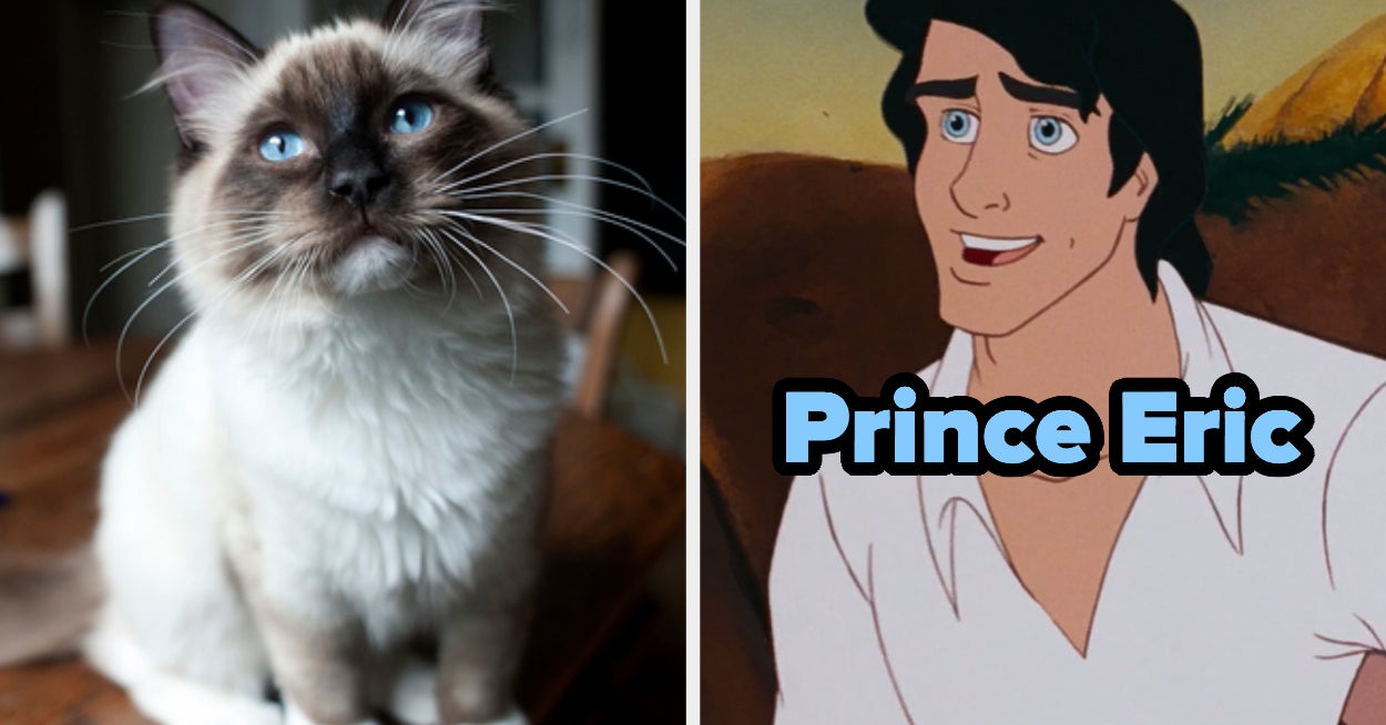 Answer 10 Quick Questions To Find Out Which Iconic Disney Guy You're ...