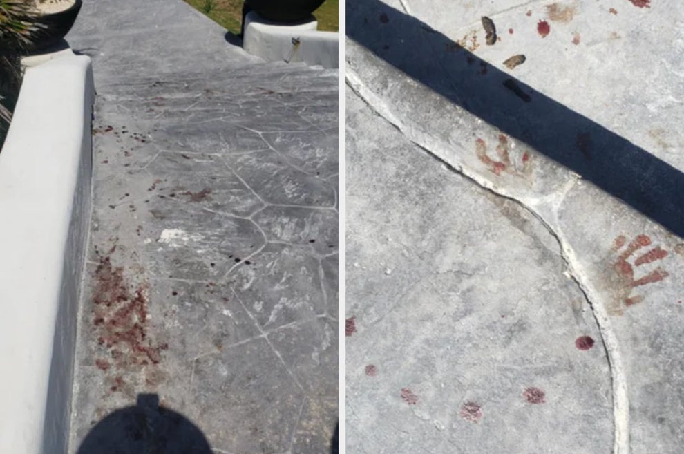 23 Horrifying Photos That'll Ruin Your Day