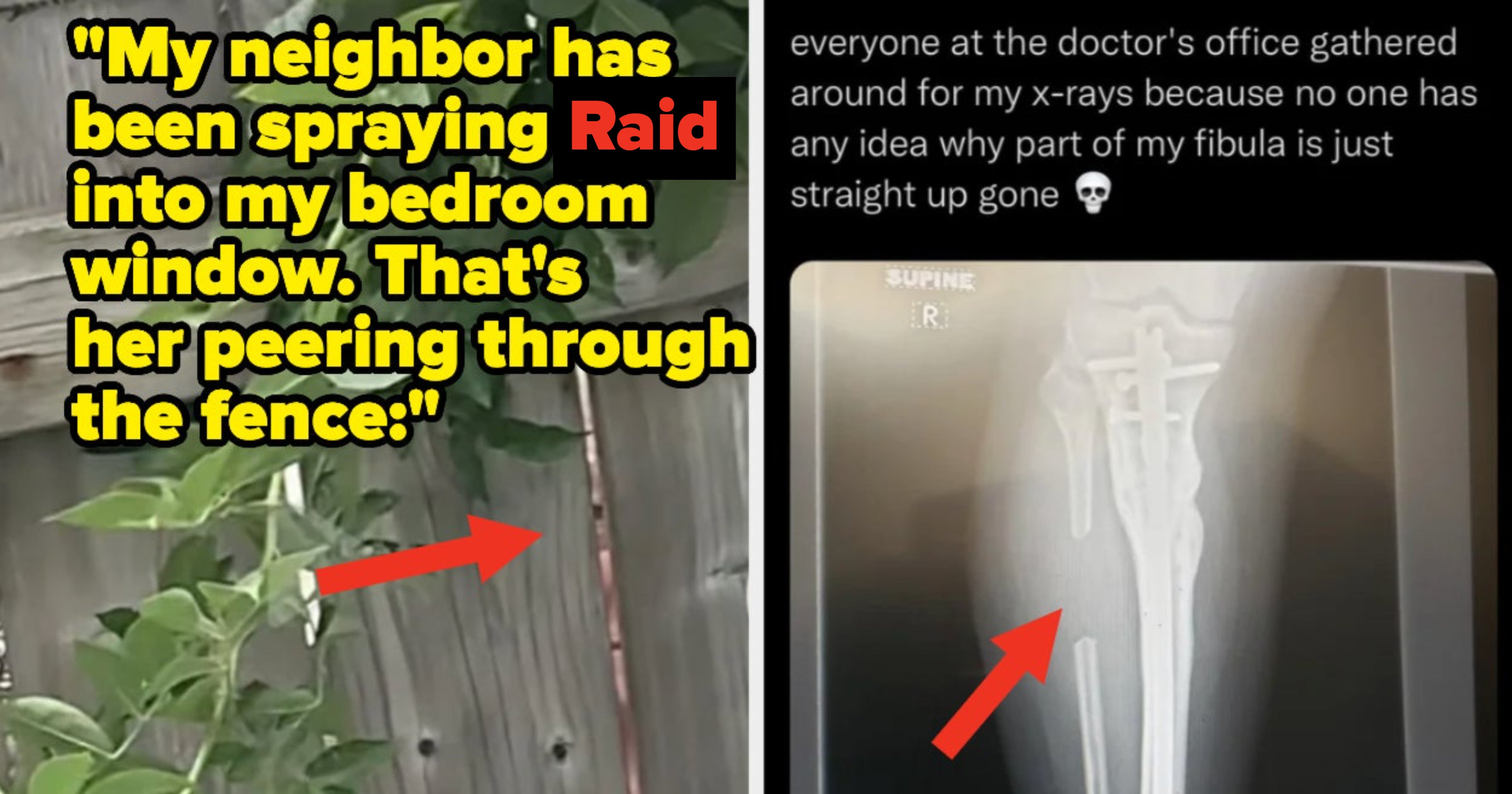 23 Scary, Yucky, And Just Plain Disturbing Photos That Scarred My Brain ...