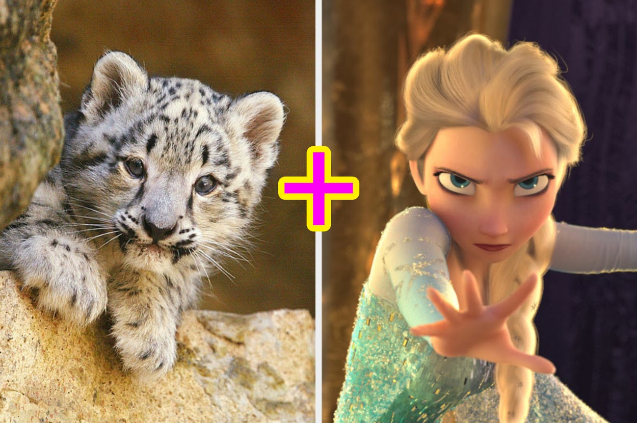 Which Cute Animal And Disney Princess Are You The Perfect Combo Of?