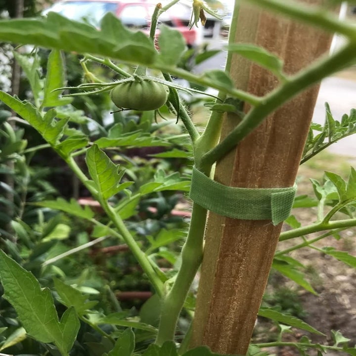 25 Gardening Products That Have Rave Reviews For A Reason