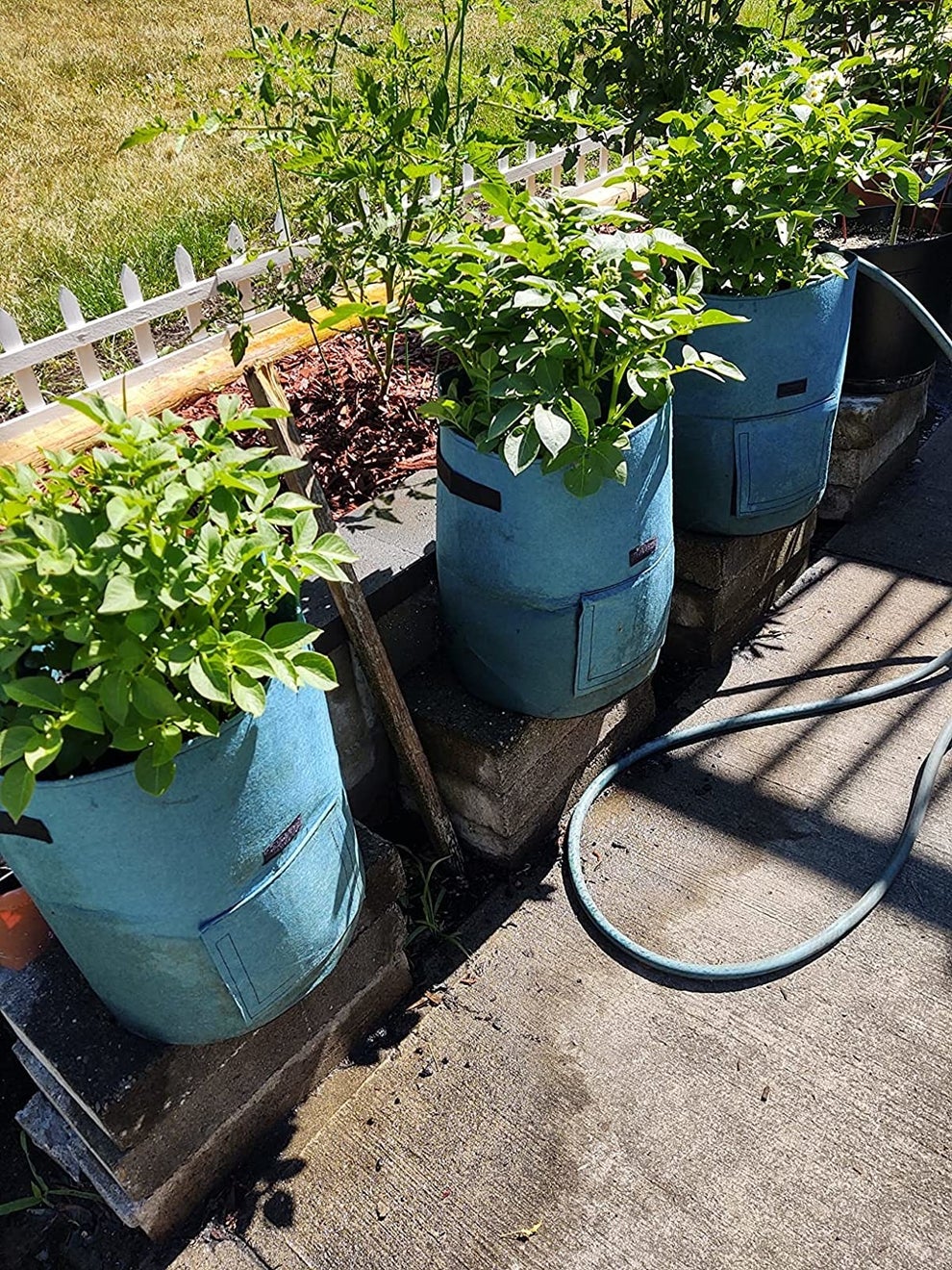 25 Gardening Products That Have Rave Reviews For A Reason