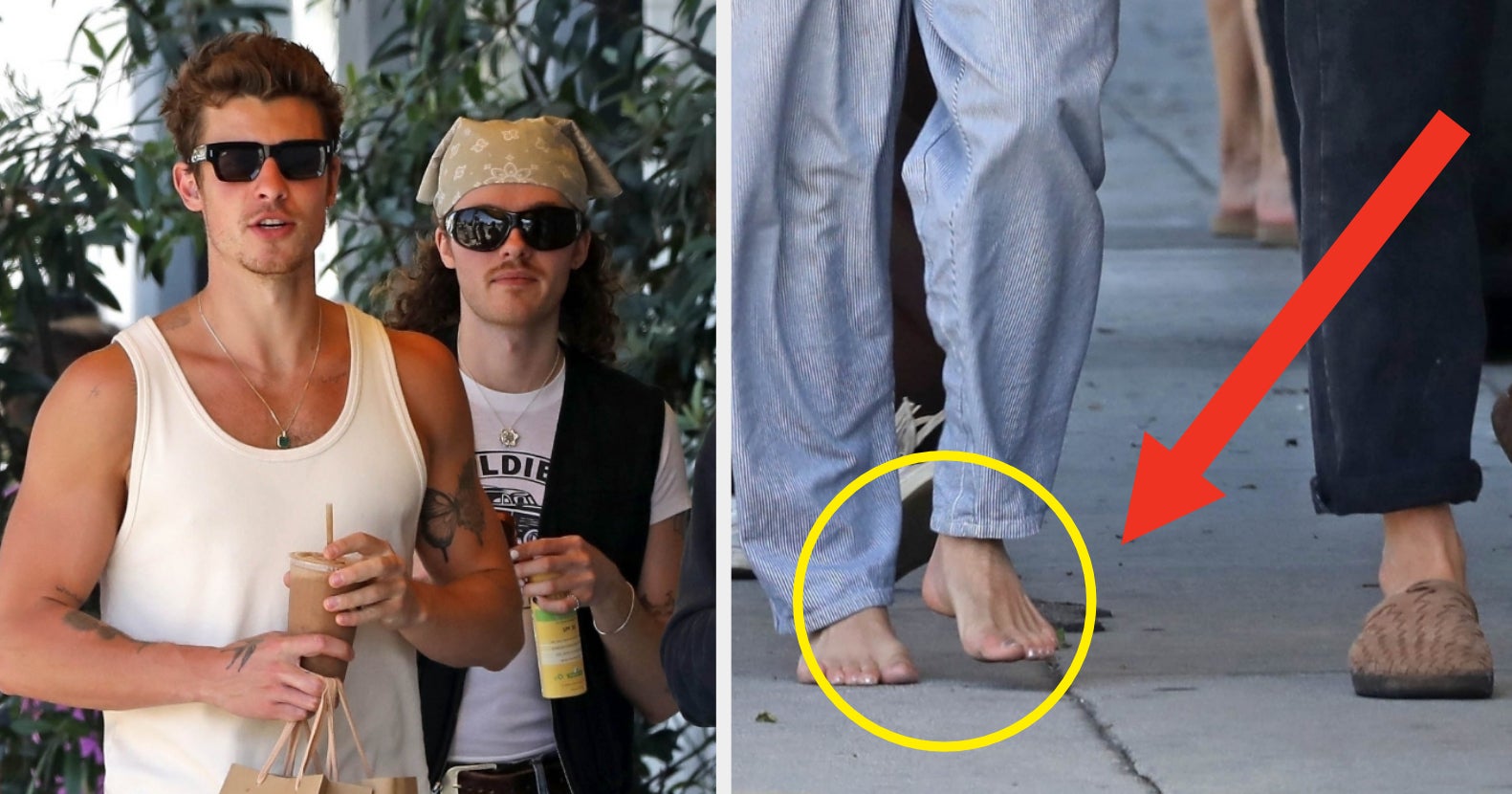 Shawn Mendes' Smoothie Squad Sparks Twitter Response