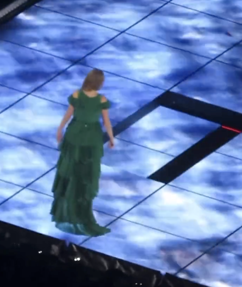 Taylor Swift's Stage Dive Secret Revealed