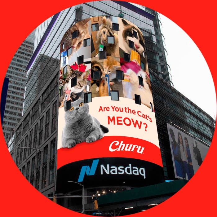 9 Adorable #MeowforChuru Videos You’ll Absolutely Fall In Love With