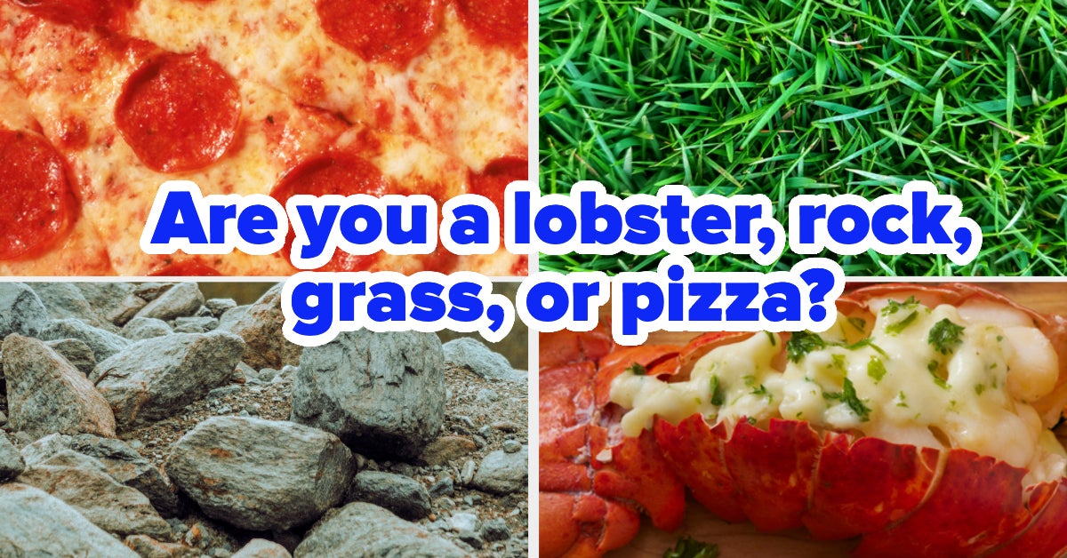 Are You A Lobster, Grass, Pizza, Or A Rock?