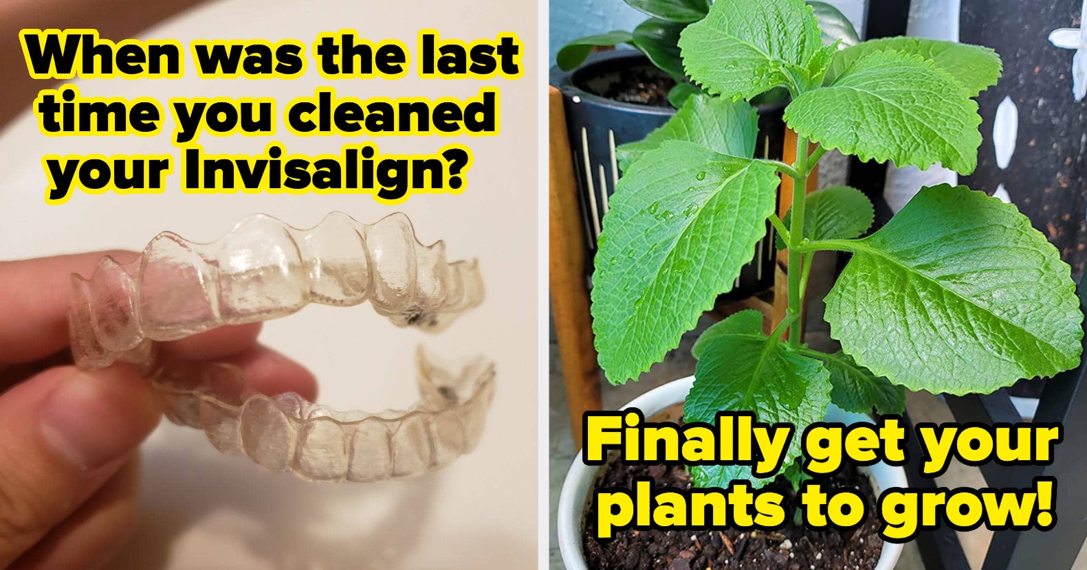 38 Things That Work So Well, You’ll Keep Hiring Them