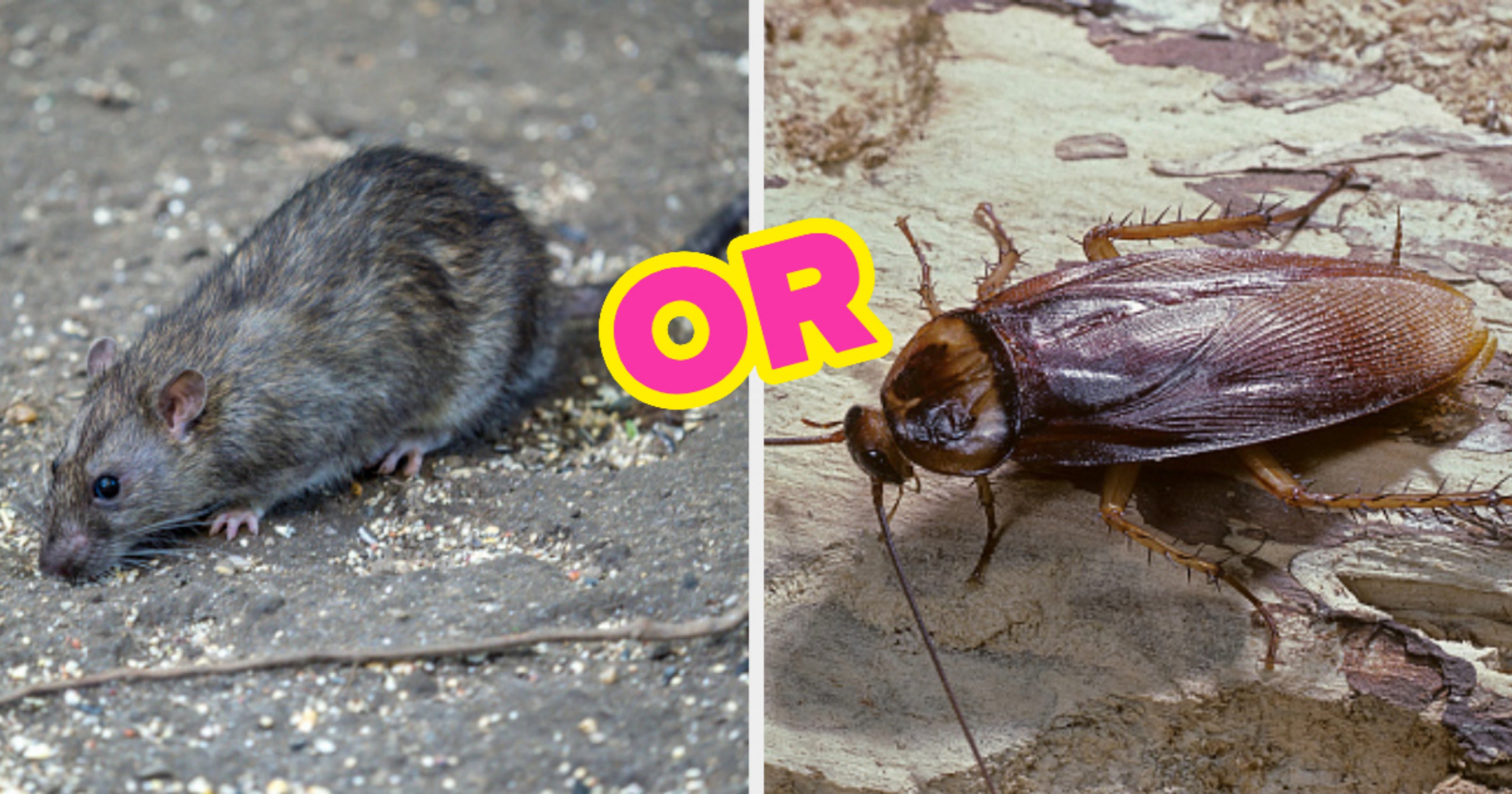 100 Years From Now, These Are The 2000s Movies Sure To Be "Classics ...