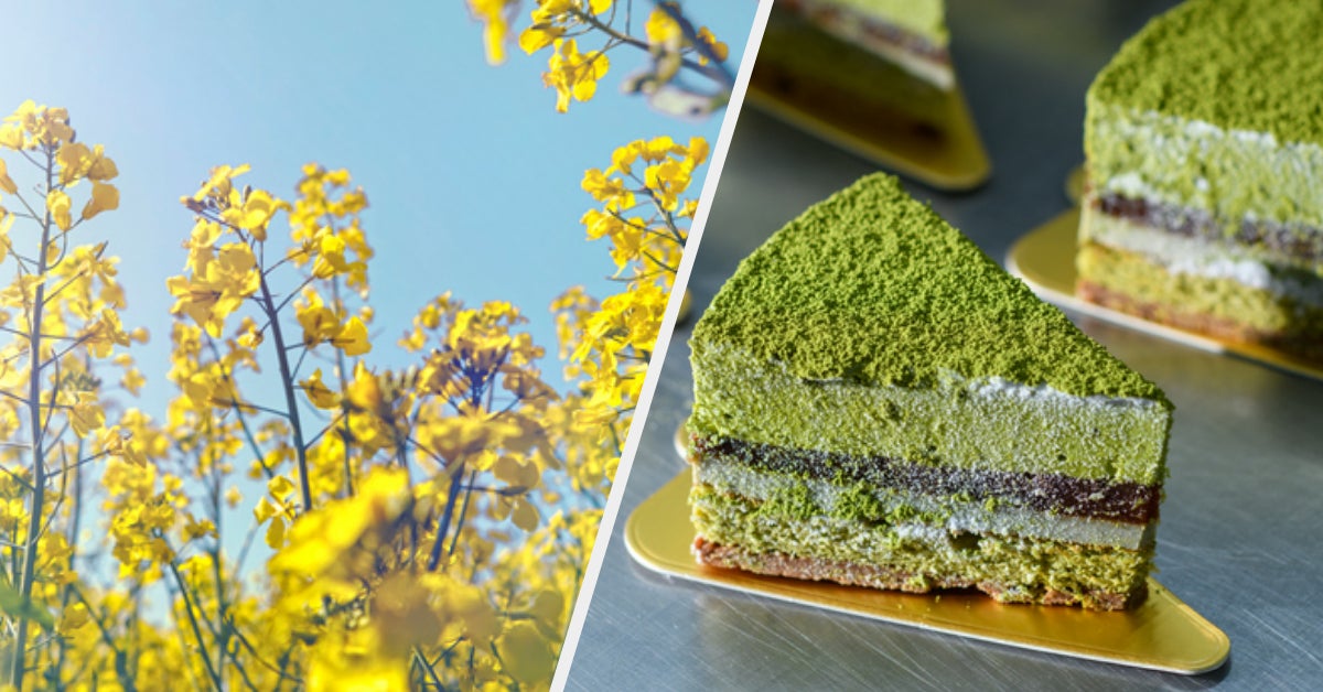 Pick A Cake From Every Color And I'll Tell You What Season You Are ...