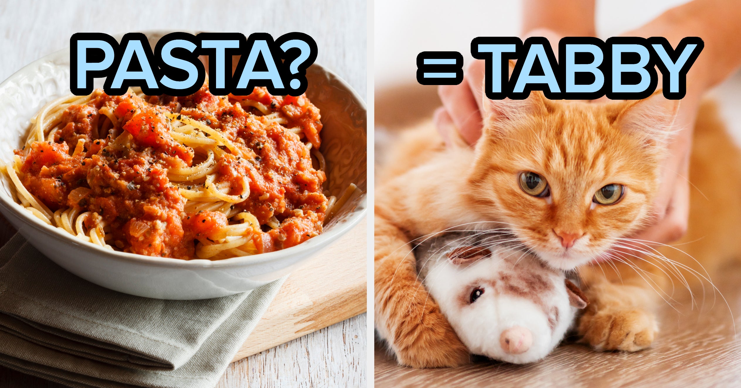 Eat A 7-Course Meal And I'll Reveal Which Cat You Are