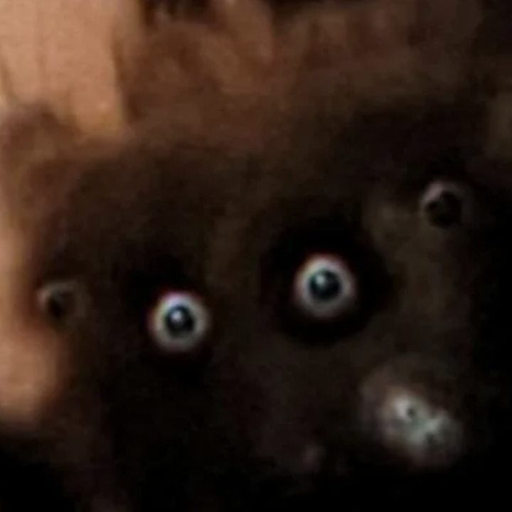 22 Petrifying Photos That Feel Like A Hallucination