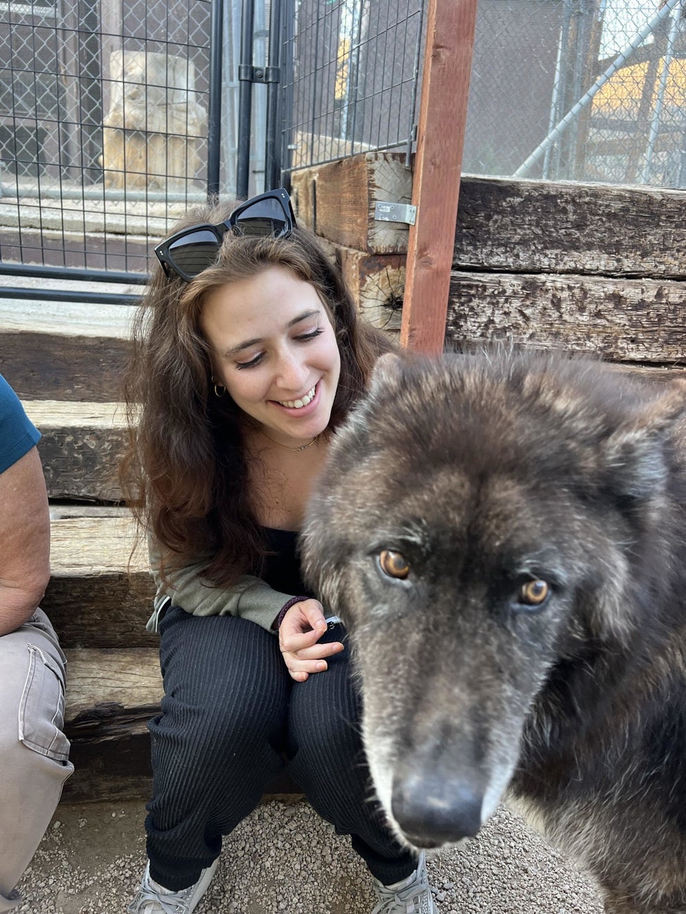14 Wolf Facts You Need To Know Before Getting One As A Pet