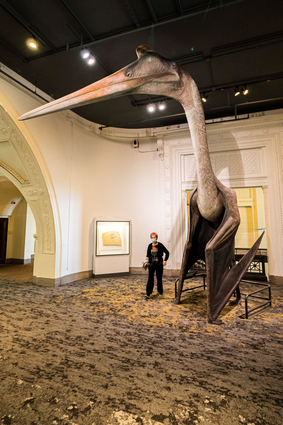 50 Extremely Fascinating Pictures That Will Completely And Totally Change Your Perspective On ...