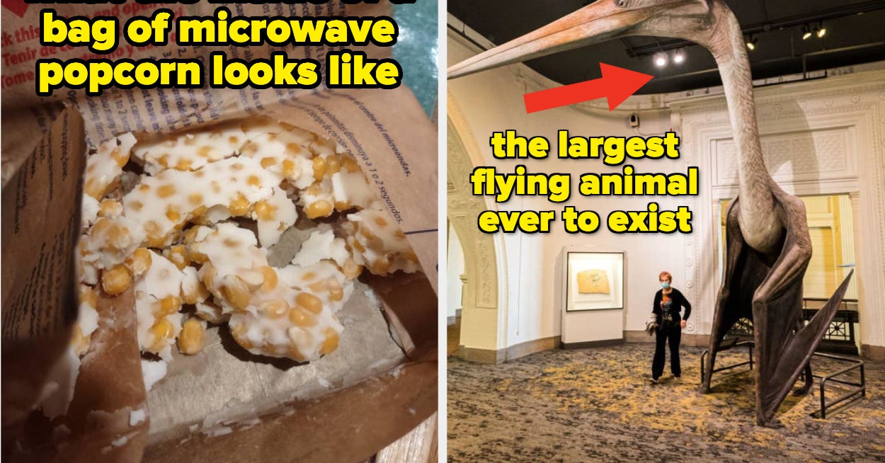 I Just Spent An Entire Week Looking For The Absolute Most Fascinating ...