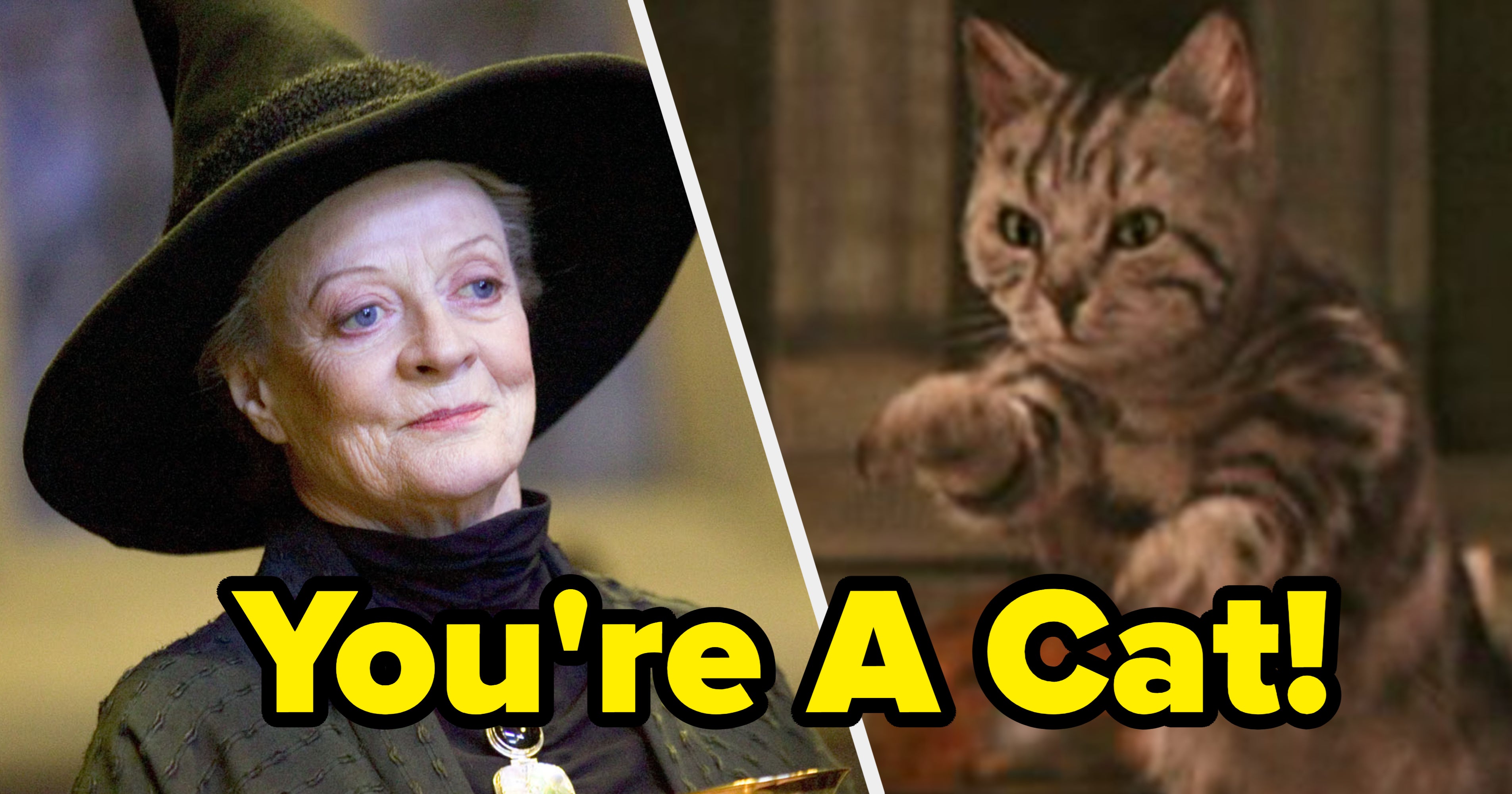 professor mcgonagall cat type