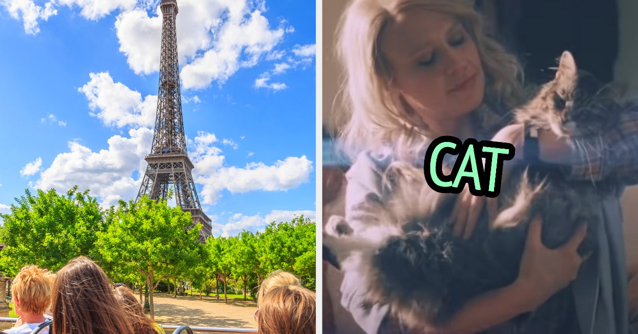 Pick Cities To Visit See Animal You Are Quiz