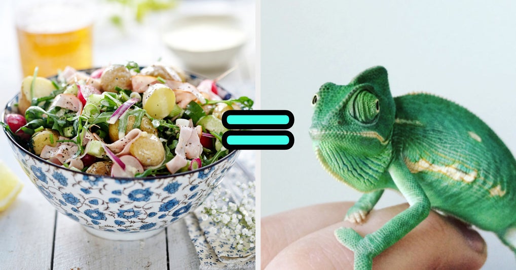 Which Animal Are You Based On The Foods You Munch On?