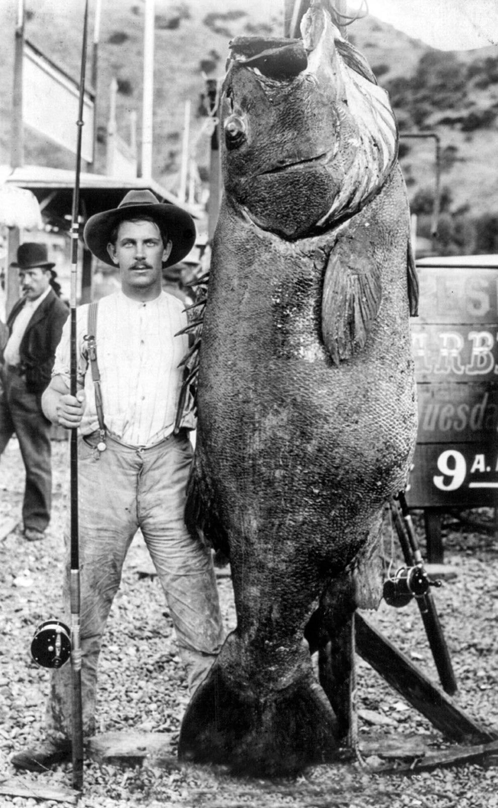 75 Extremely Rare Historical Pictures That Will Completely And Totally ...