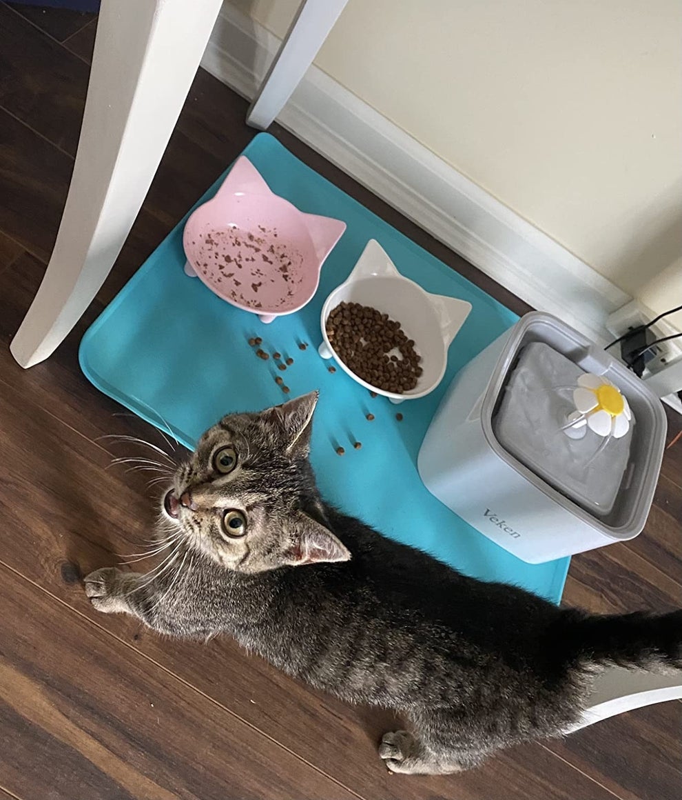 25 Things From Amazon That Just Want To Make Life Easier For Cat Owners