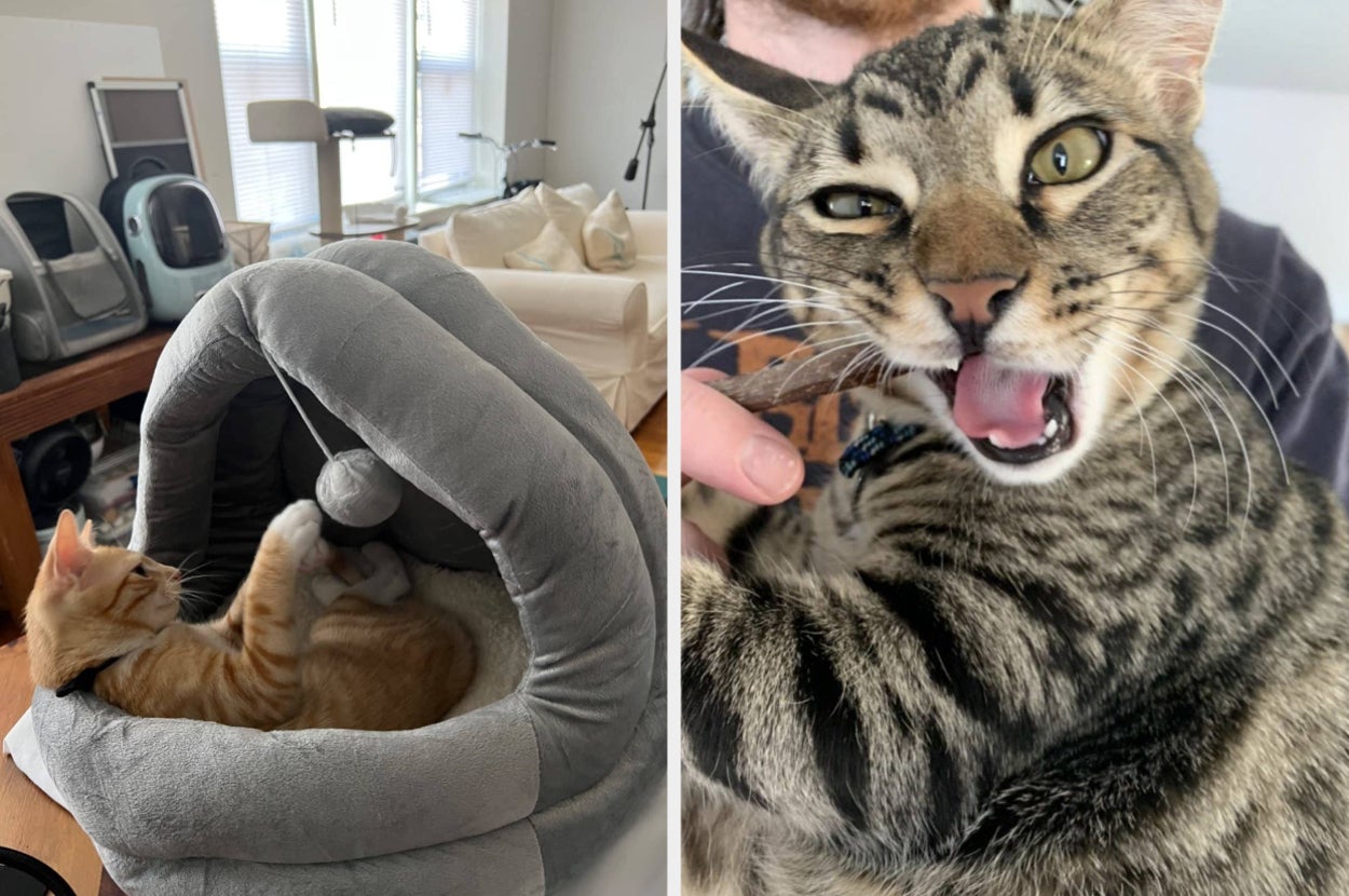 27 Things From Amazon That Just Want To Make Life Easier For Cat Owners