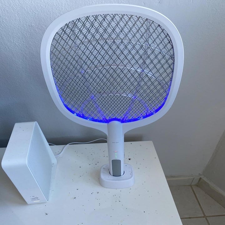 Top Bug-Zapping Devices And Repellents For A Bug-Free Home