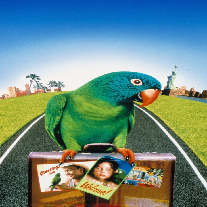 Movies That Nobody Remembers