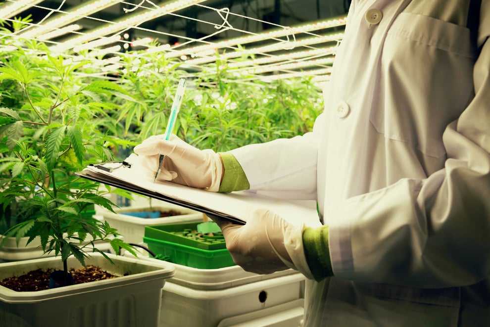 People Share What It's Really Like Having A "Cool" Job