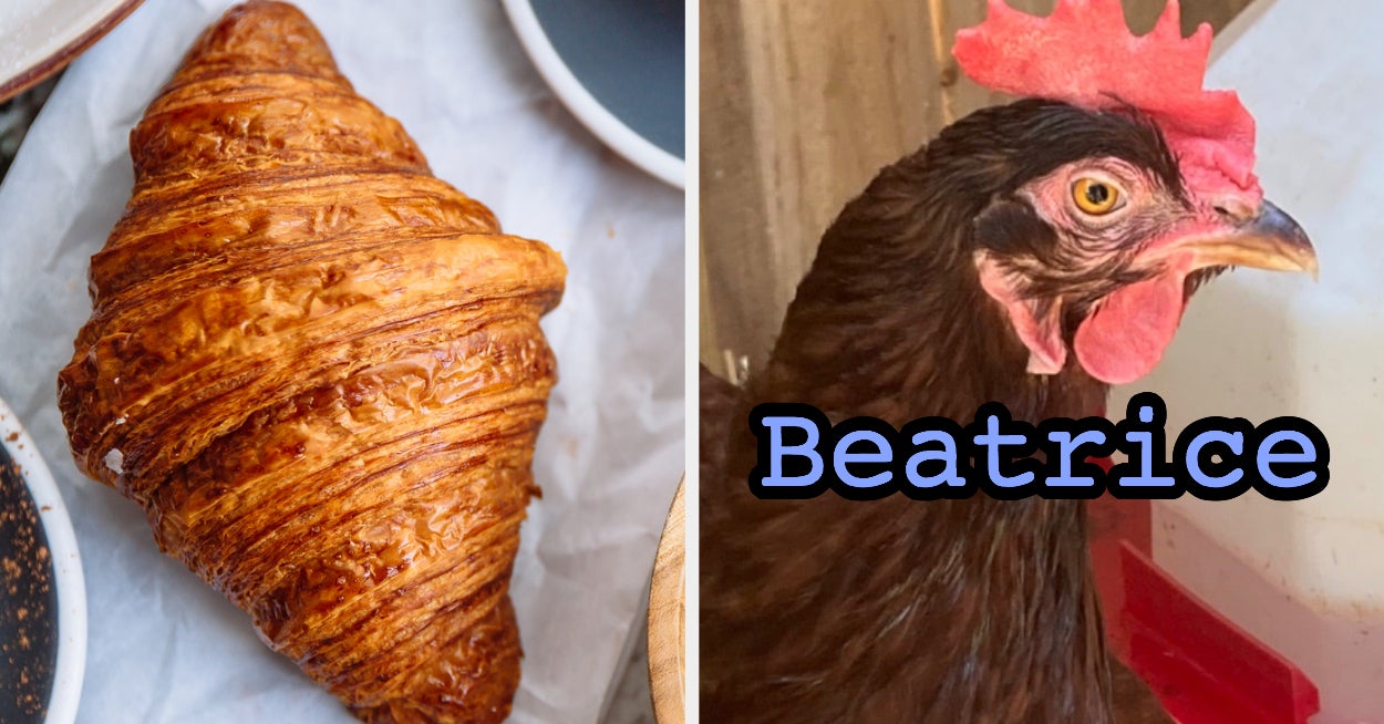 Plan Day See Which Chicken You Are Quiz