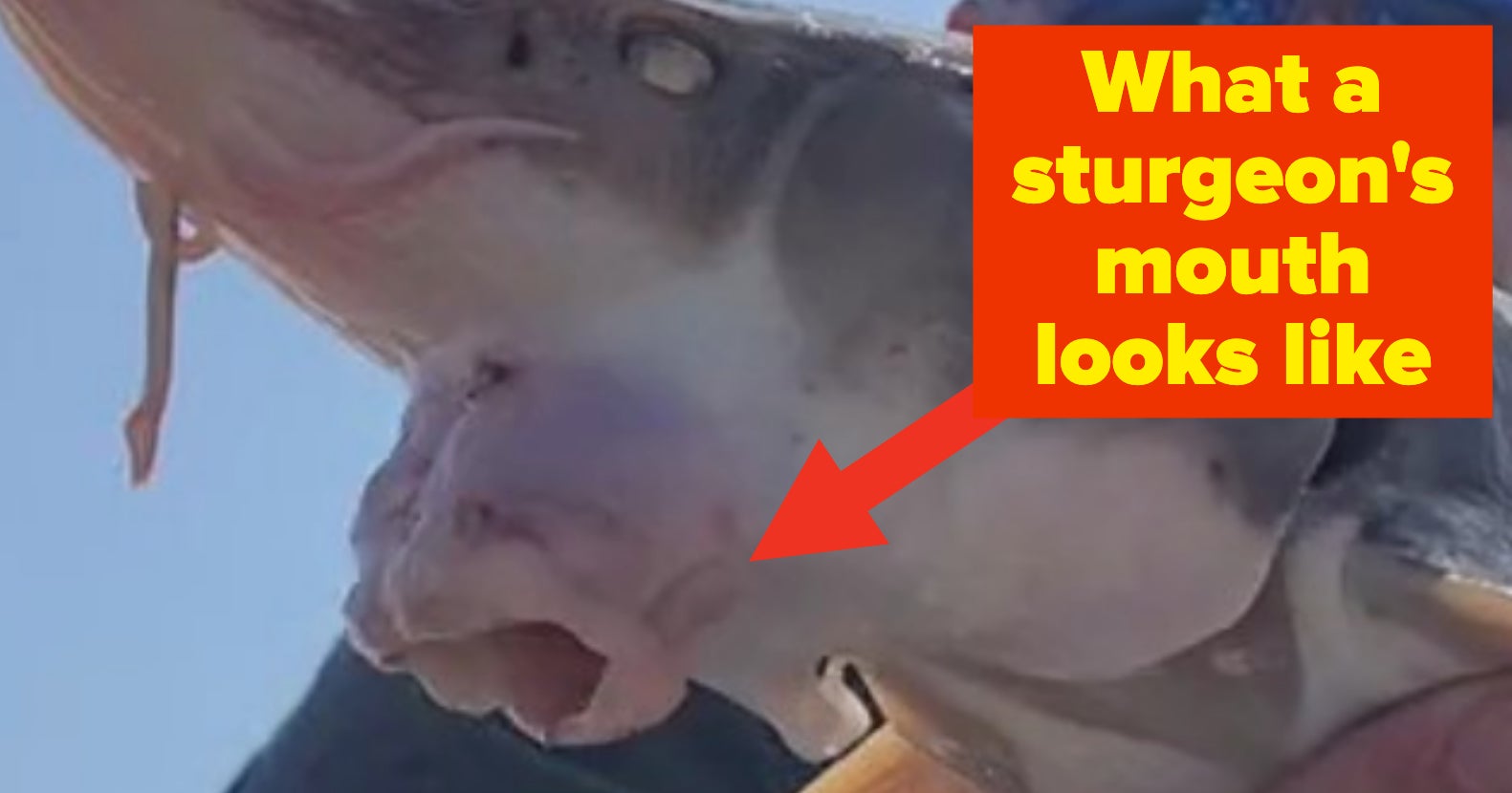 15 Horrifying, Shocking, And Upsetting Things I Learned About This ...