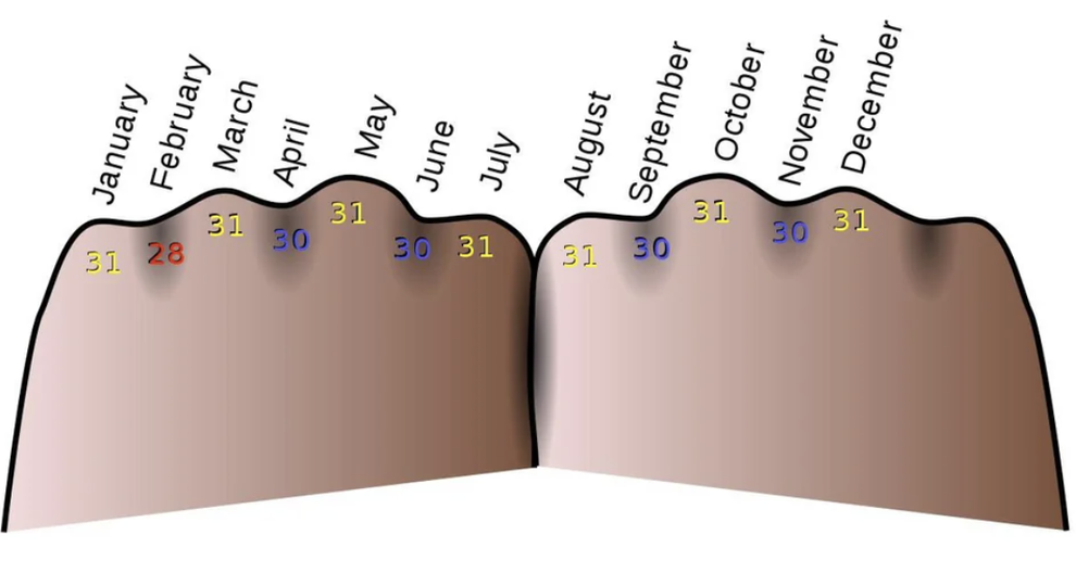 50 Cool Charts That Will Make You So Much Smarter