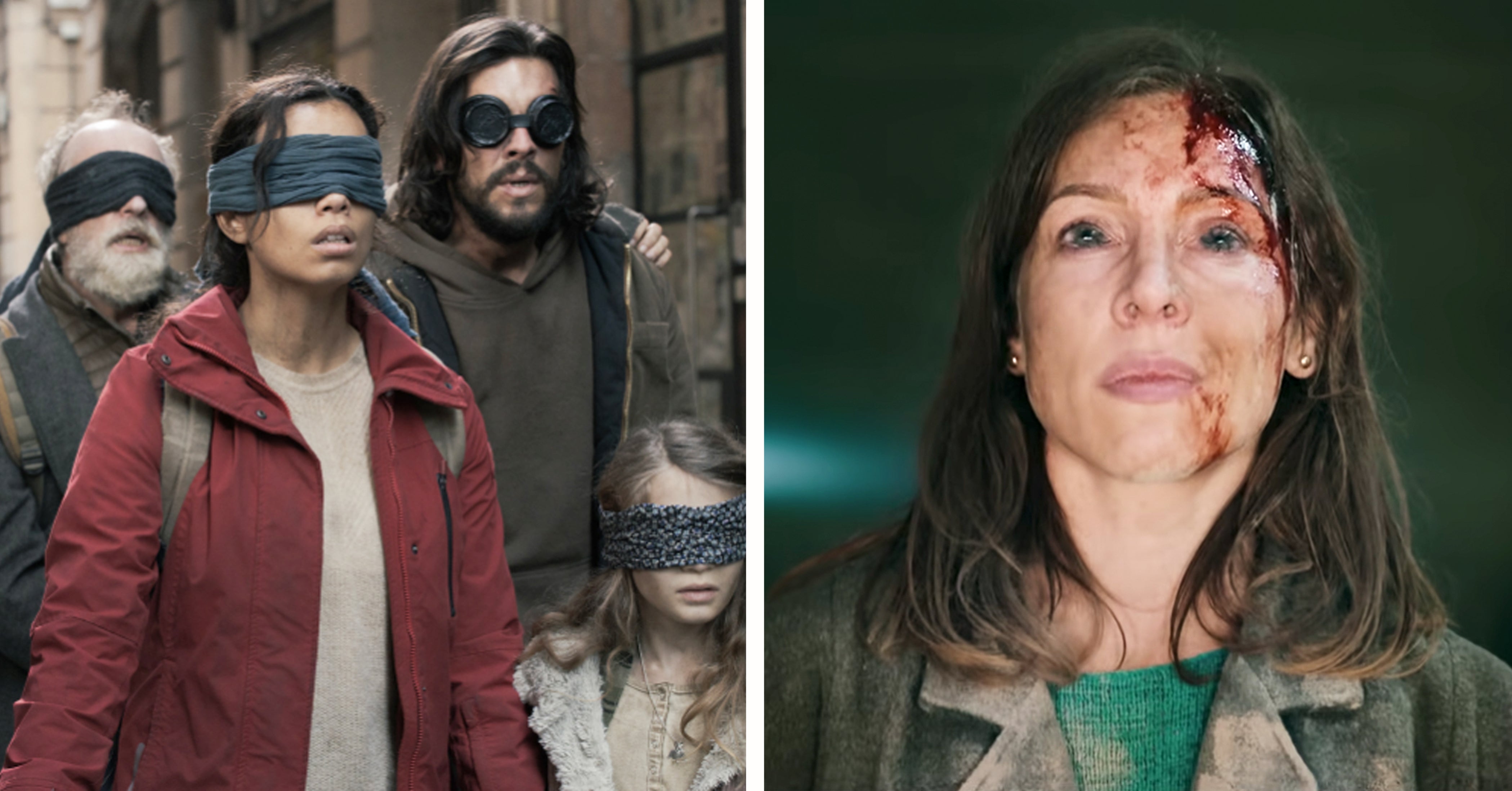 Netflix Is Releasing A Spin-Off To "Bird Box" And The Trailer Looks ...