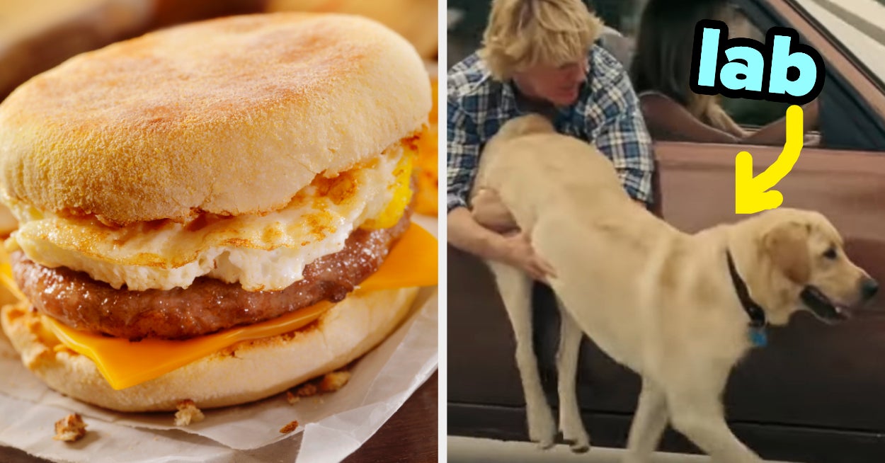 Food Quiz: Pick Foods A-Z See What Dog You Are