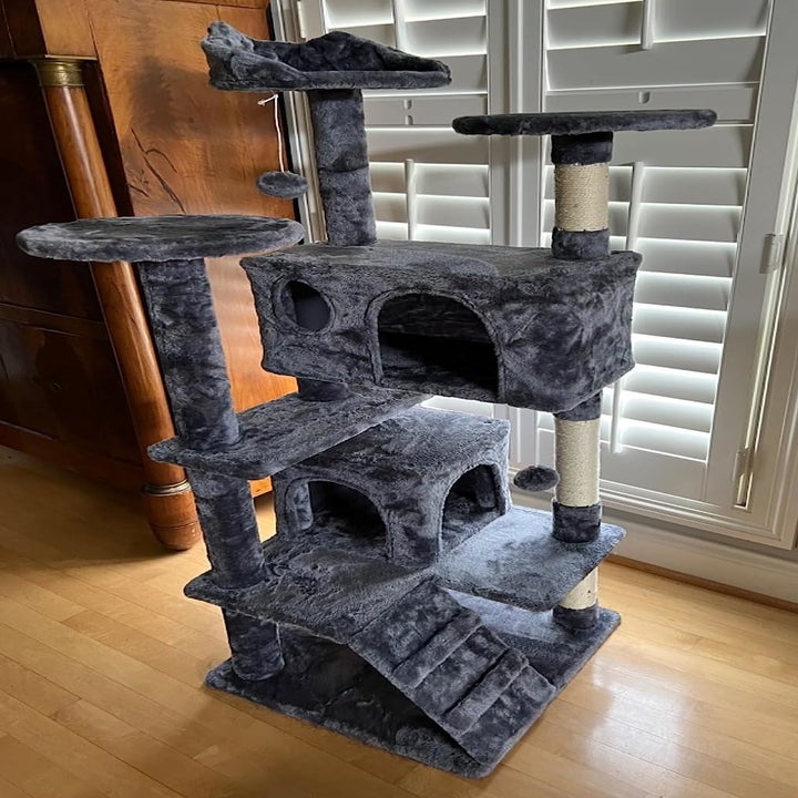 Just 25 Products That’ll Upgrade Your Cat’s Routine