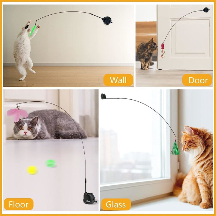 Just 25 Products That’ll Upgrade Your Cat’s Routine