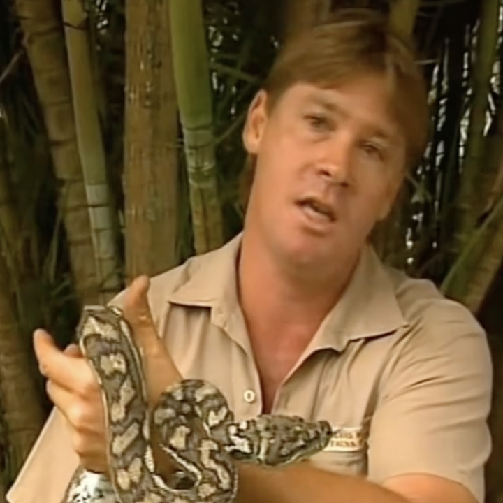 Robert Irwin And Steve Were Bitten By The Same Type Of Snake Decades Apart