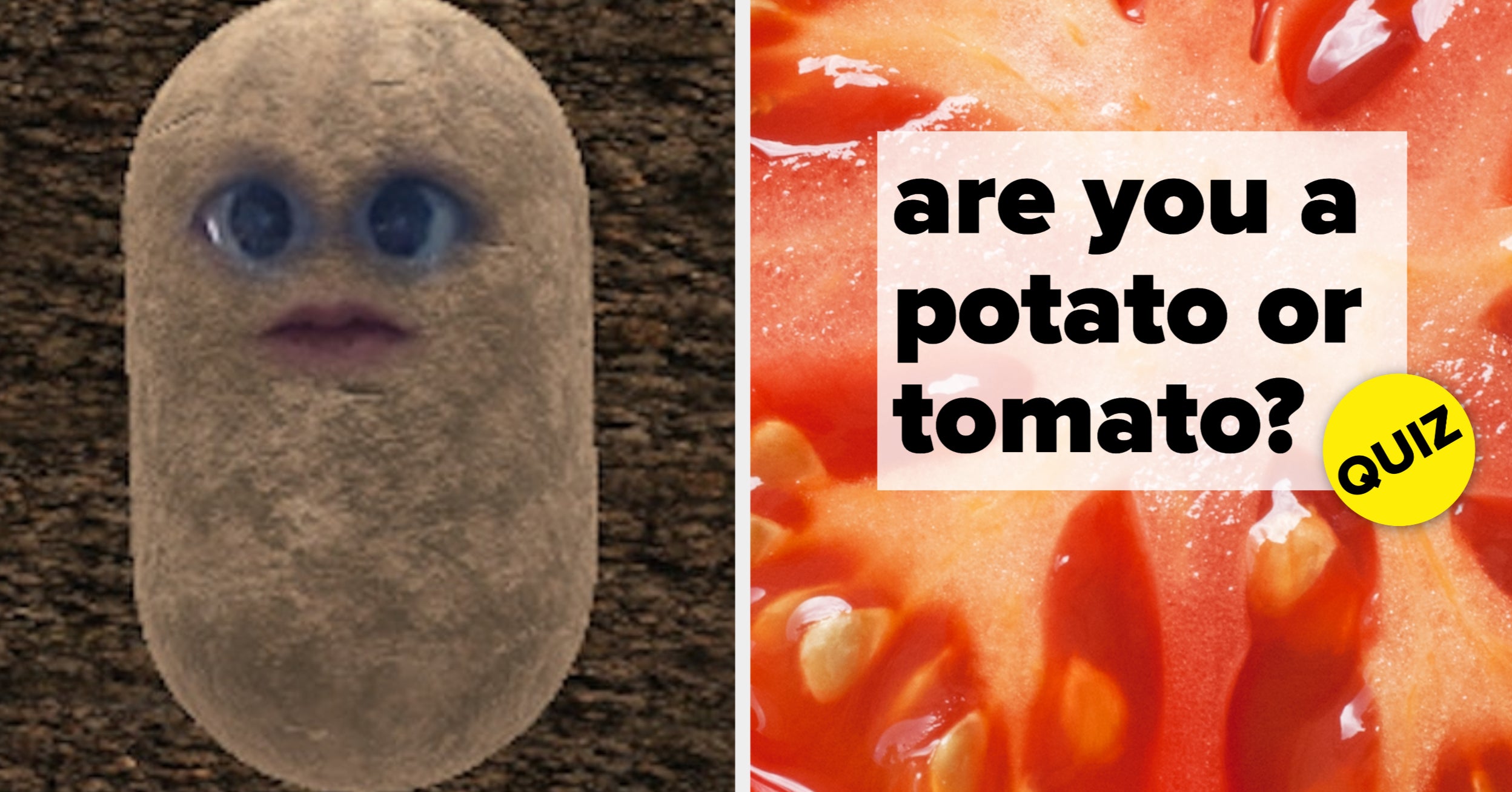 Are You A Tomato Or A Potato?